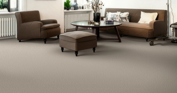 Explore Luxury and Comfort with Ed's Quality Flooring - Premium Carpet ...