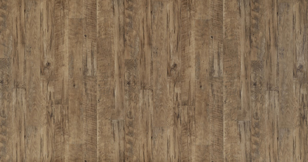 Black Mountain Oak - Timber