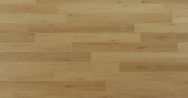 Regency Oak - Gilded Gold