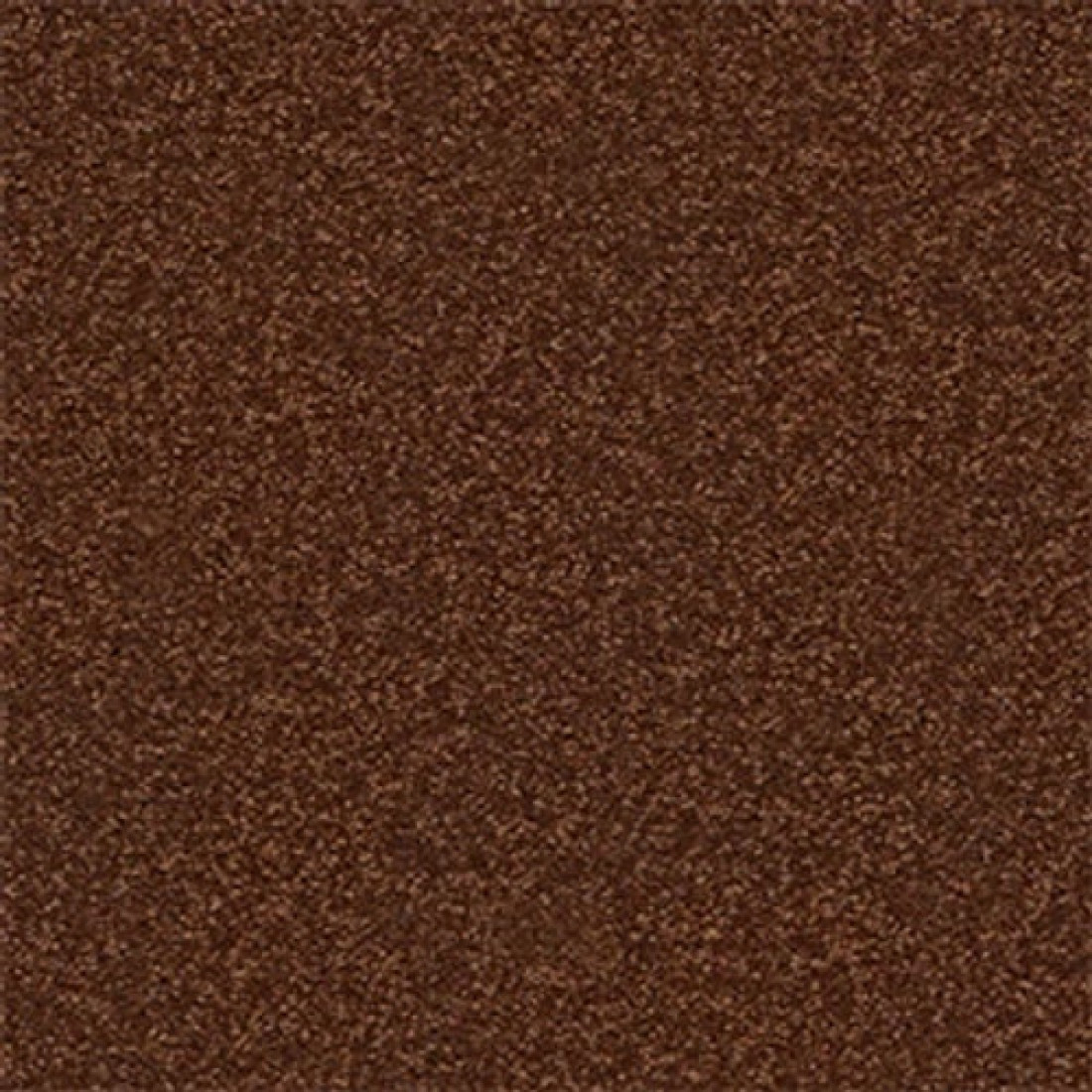 SANDY HOLLOW CLASSIC IV 12' - Tortoise Shell 00707