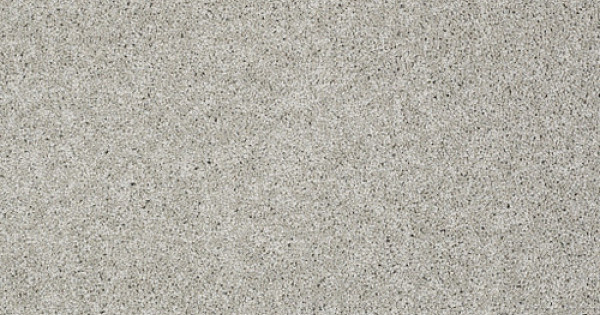 MY CHOICE I - Ash 00550