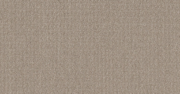 TRANSLATE NET - Sand Swept 00109