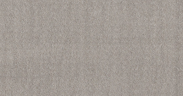 CHIC NUANCE - Silver Lining 00500