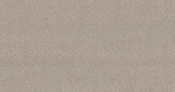 CHIC SHADES - Fossil Path 00108