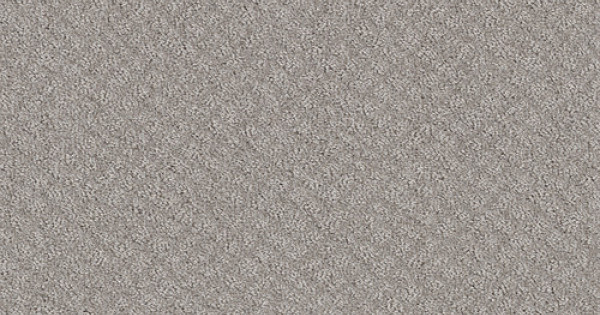 CHIC SHADES - Silver Lining 00500