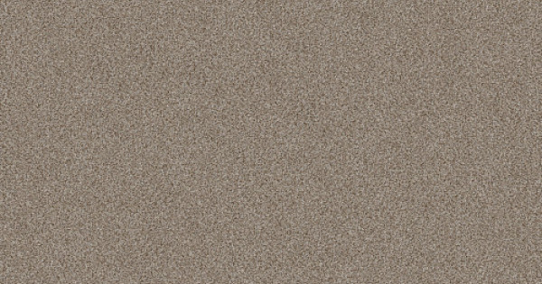 TRUSPLENDOR - Timeless Tan 00704