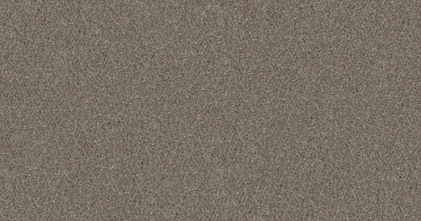 WITHOUT LIMITS III - Saddle Tan 00700