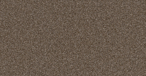 TRUSPIRIT I - Chestnut 00707