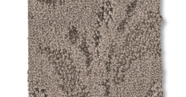 CHARISMATIC - Toasty Gray 00573