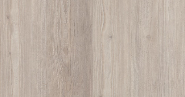 Galaxy - Sunflower Pine 02065